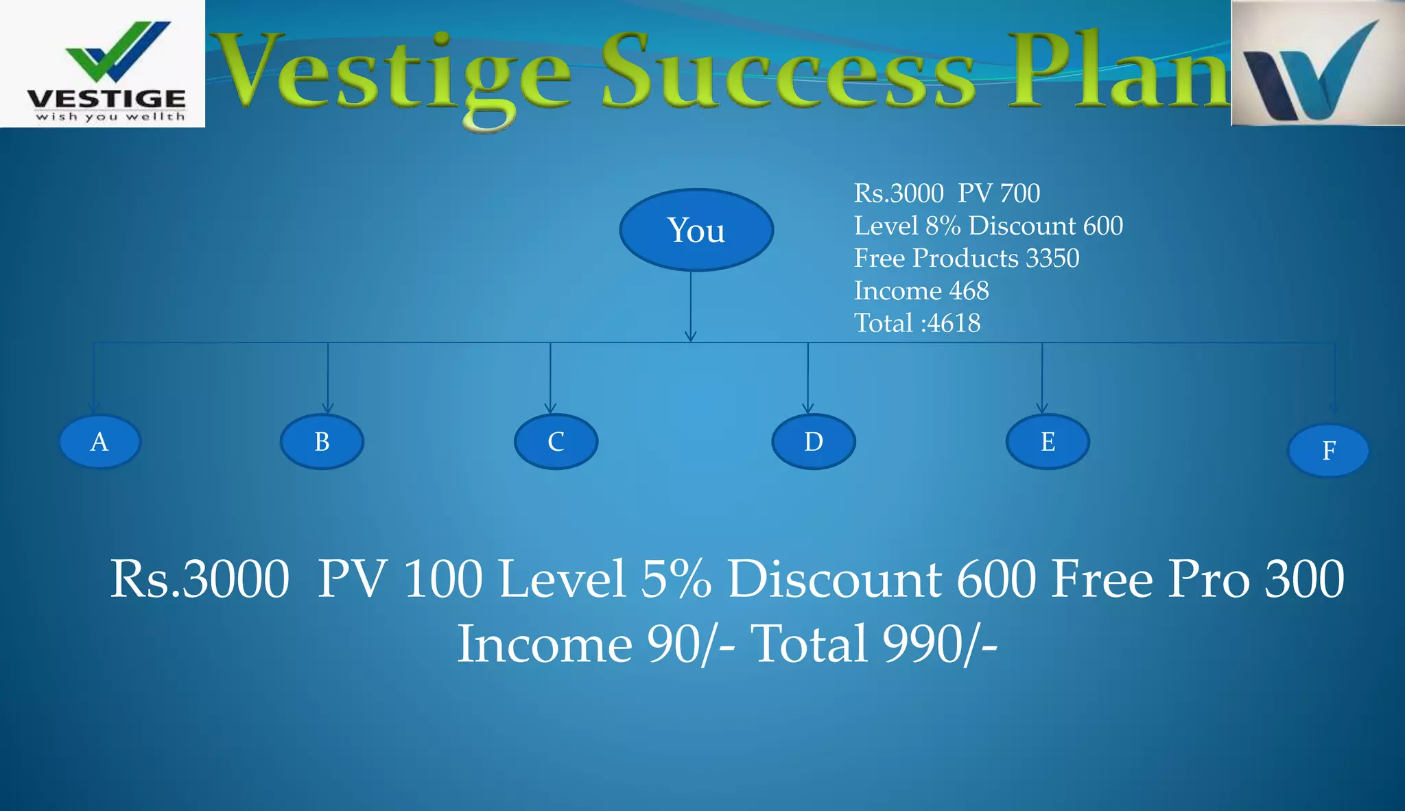 Vestige success plan 6 | PPTX