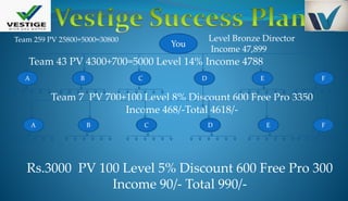 Vestige success plan 6 | PPTX