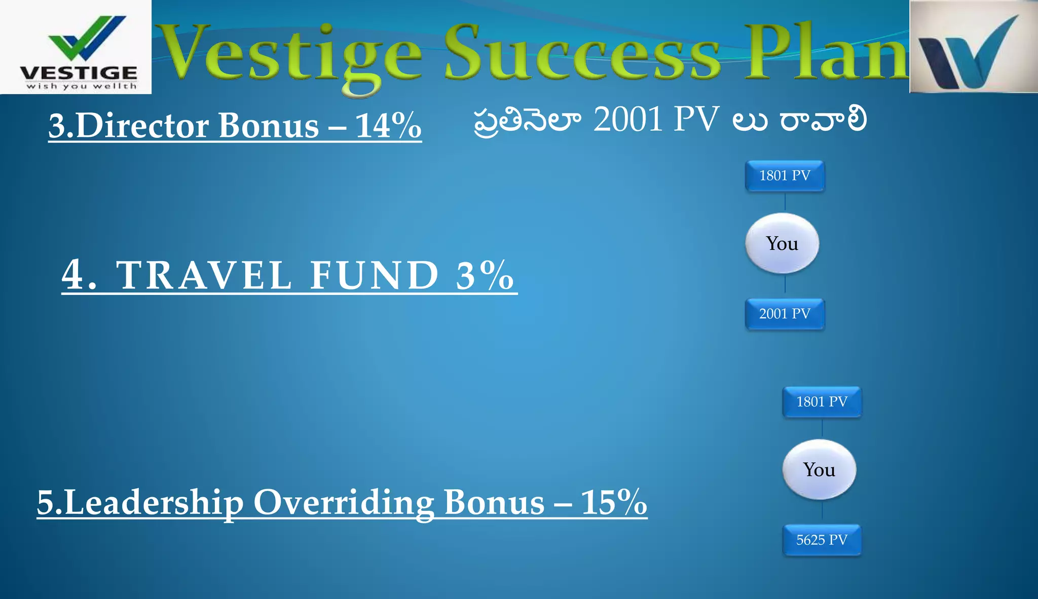 Vestige success plan 6X4 05.01.2020