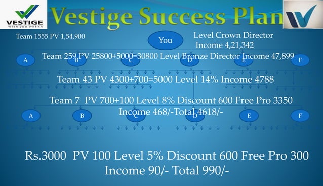 Vestige success plan 6X4 05.01.2020