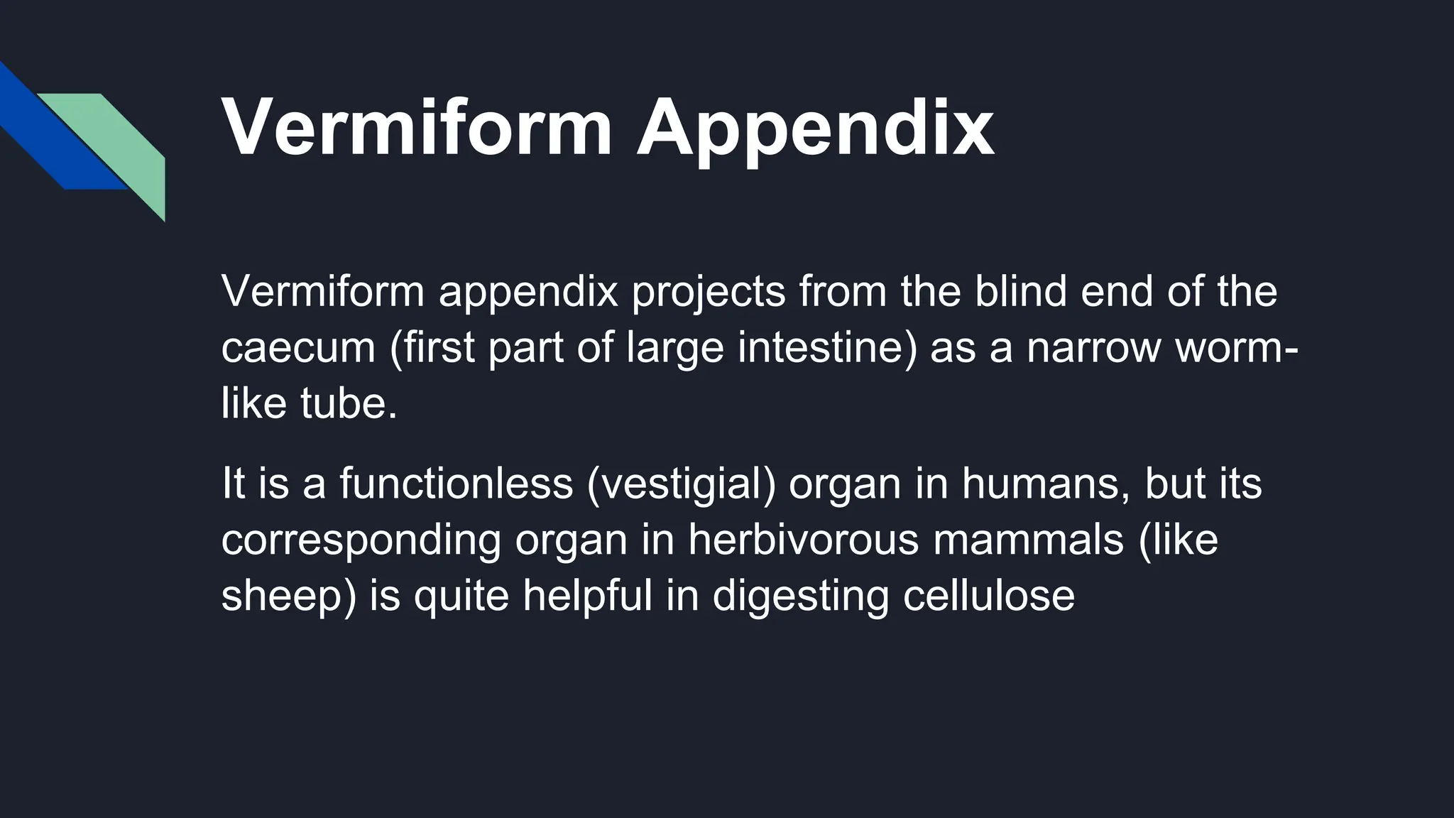 Vestigial Organs.pptx
