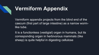 Vestigial Organs.pptx