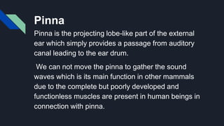 Vestigial Organs.pptx