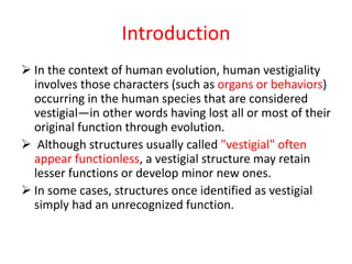 Vestigial structure | PDF