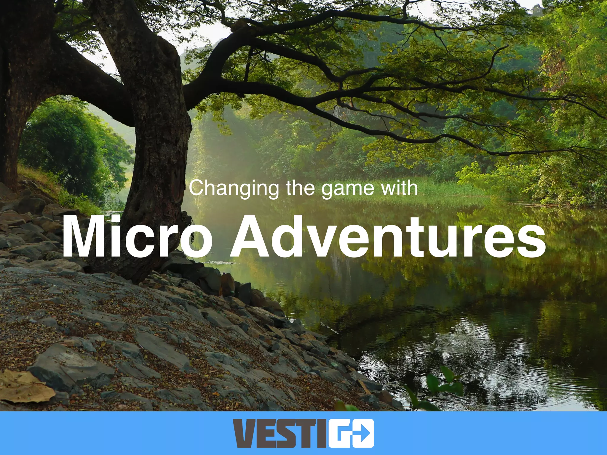 Vestigo Pitch Deck | PDF