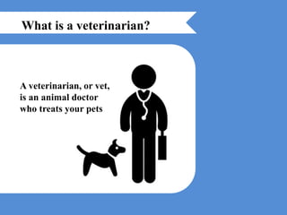Veterinarian profession | PPTX