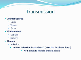 VETERINARY public health assign. on leptospirosis by Dr. CHANDRA ...