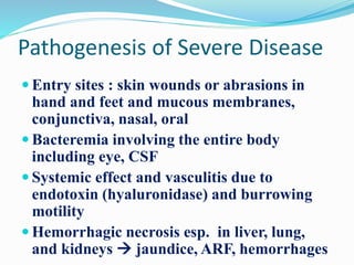 VETERINARY public health assign. on leptospirosis by Dr. CHANDRA ...