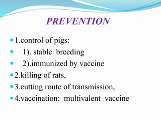 VETERINARY public health assign. on leptospirosis by Dr. CHANDRA ...