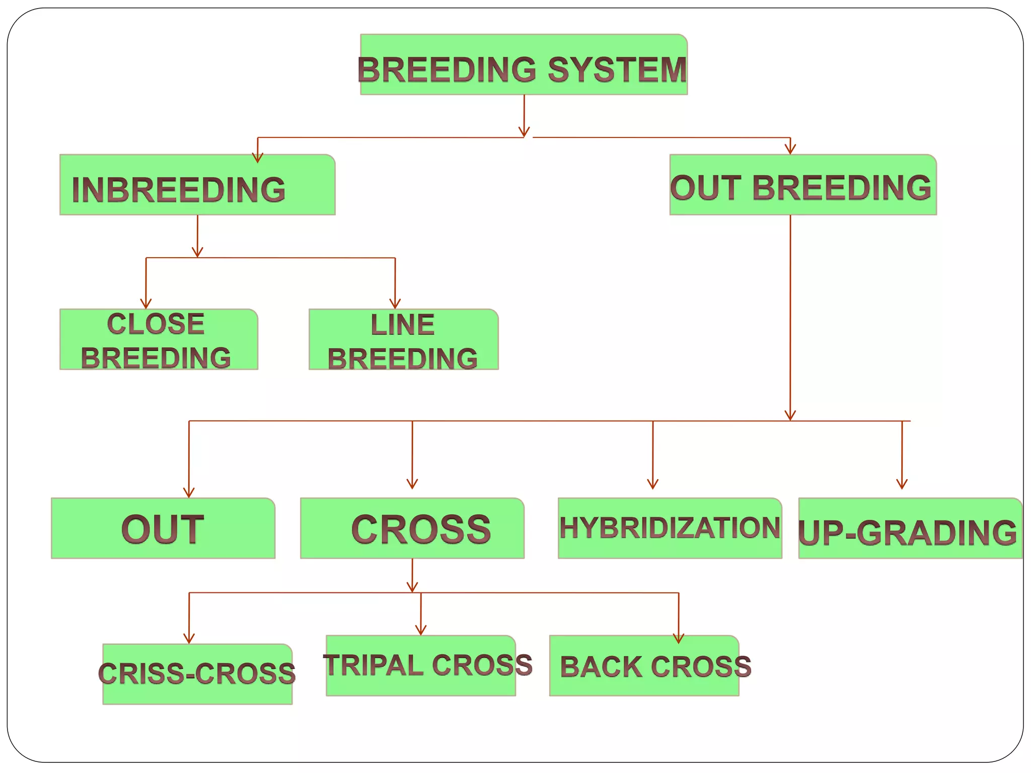 Veterinarysystem of breeding and injection methods | PPTX