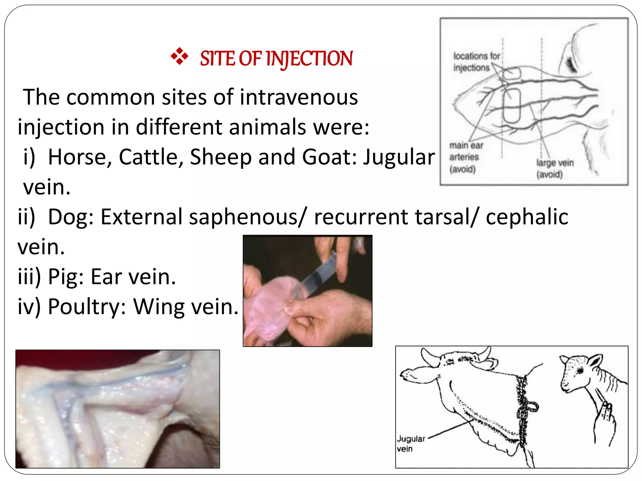 Veterinarysystem of breeding and injection methods | PPTX