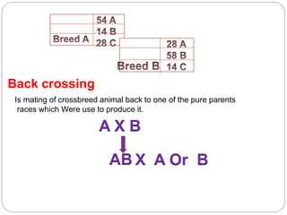 Veterinarysystem of breeding and injection methods | PPT