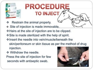 Veterinarysystem of breeding and injection methods | PPT