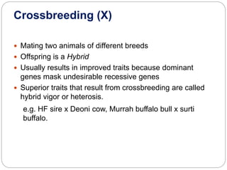 Veterinarysystem of breeding and injection methods | PPT