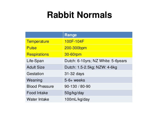 Vet 2300 exotics and lab animal
