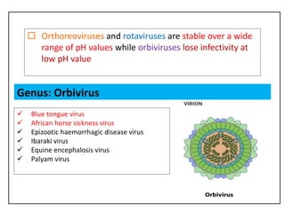 Vet. viro . Reoviridae.pptx