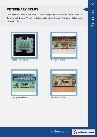 Vet needs-group | PDF