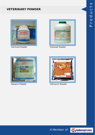 Vet needs-group | PDF