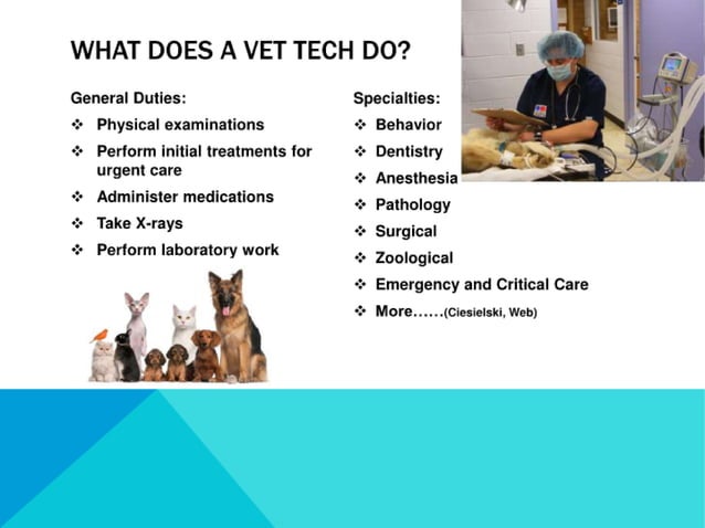 Vet Tech at CCC | PDF
