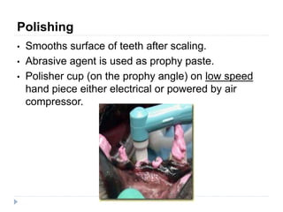 Vet 2300 dental prophylaxis | PPTX
