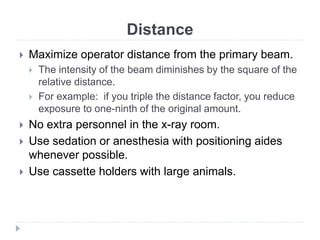 Vet 2300 internship imaging review powerpoints | PPTX
