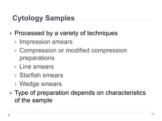 Vet 2300 lab procedures slides | PPTX
