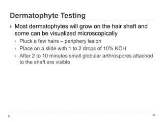 Vet 2300 lab procedures slides | PPTX