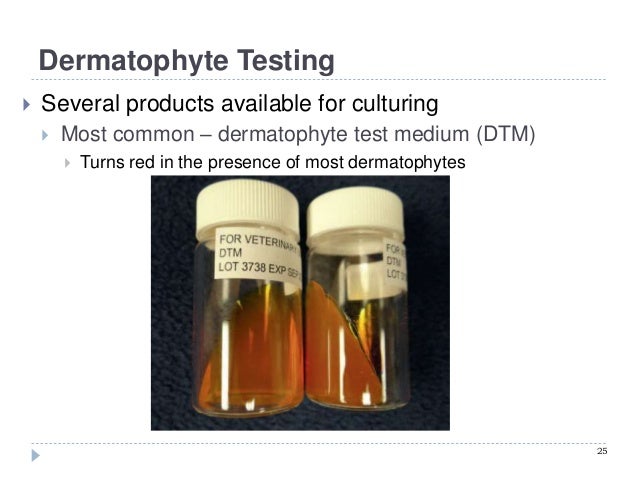 Vet 2300 lab procedures slides