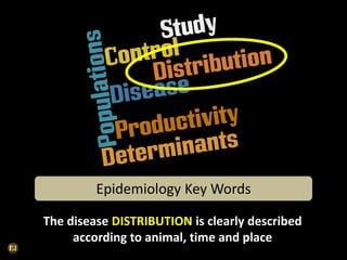 Vet Epidemiology Overview and General Concepts - RD Domingo | PPTX