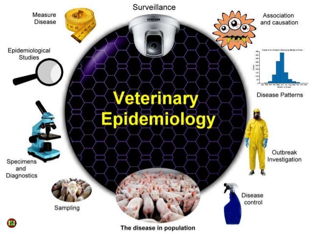 Vet Epidemiology Overview and General Concepts - RD Domingo