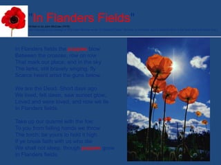 Veteran's day in flander's field | PPT