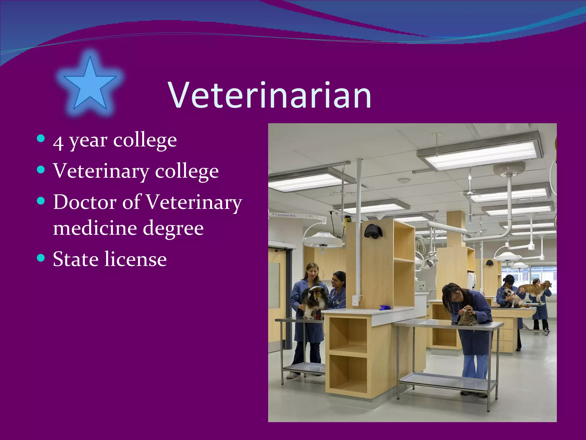 Veterinarian | PPT