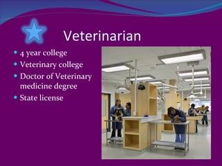 Veterinarian | PPT