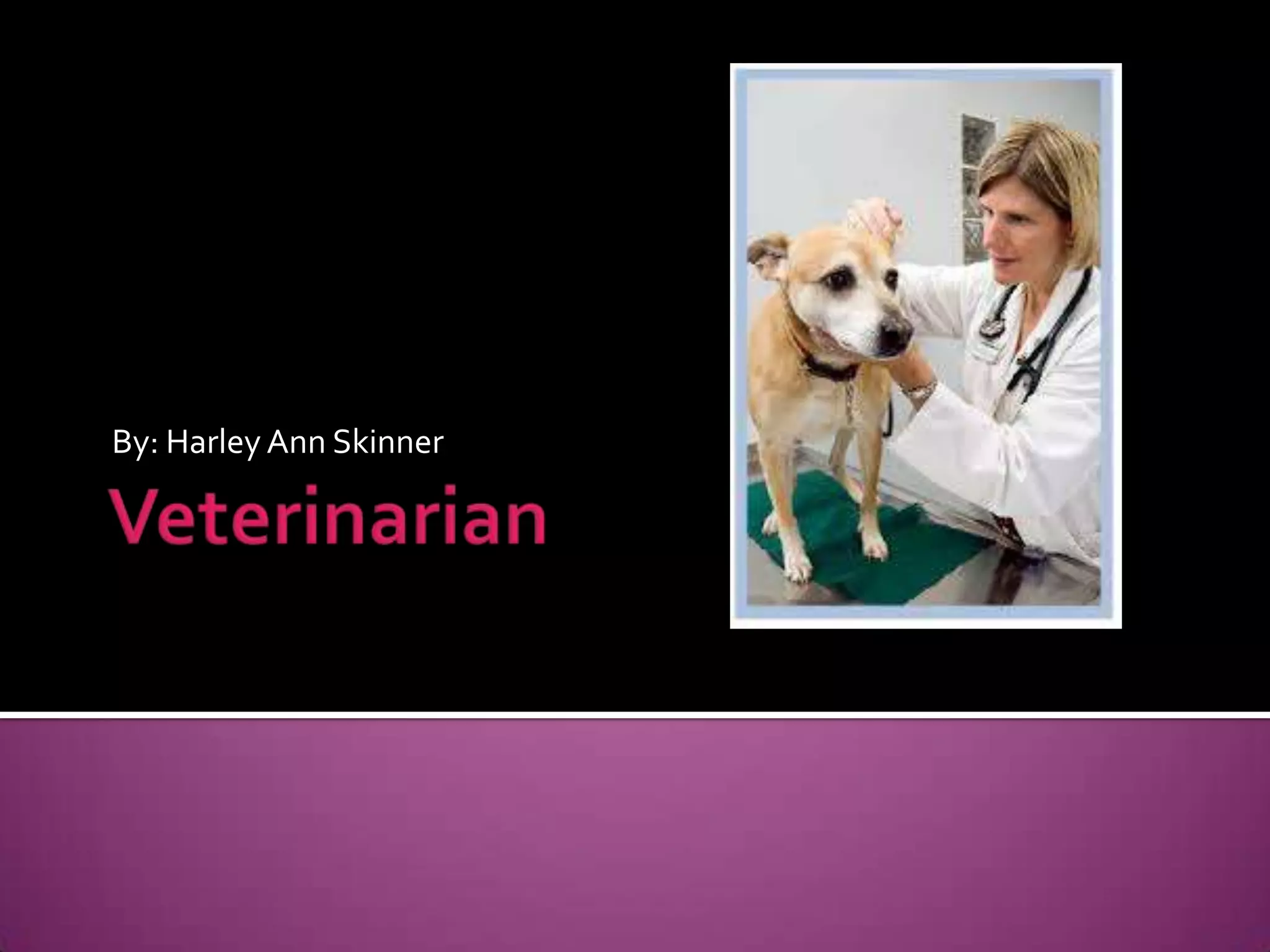 Veterinarian Career | PPTX