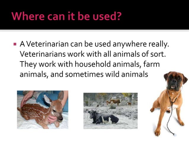 Veterinarian Career | PPTX | Veterinary Medicine | Pets