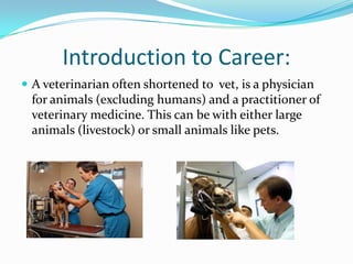 Veterinarian powerpoint | PPTX
