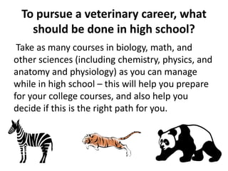 Veterinarians | PPTX