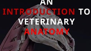 AN INTRODUCTION TO VETERINARY ANATOMY PPT | PPTX