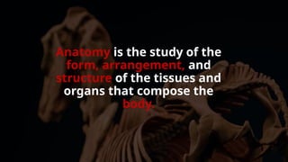 AN INTRODUCTION TO VETERINARY ANATOMY PPT | PPTX