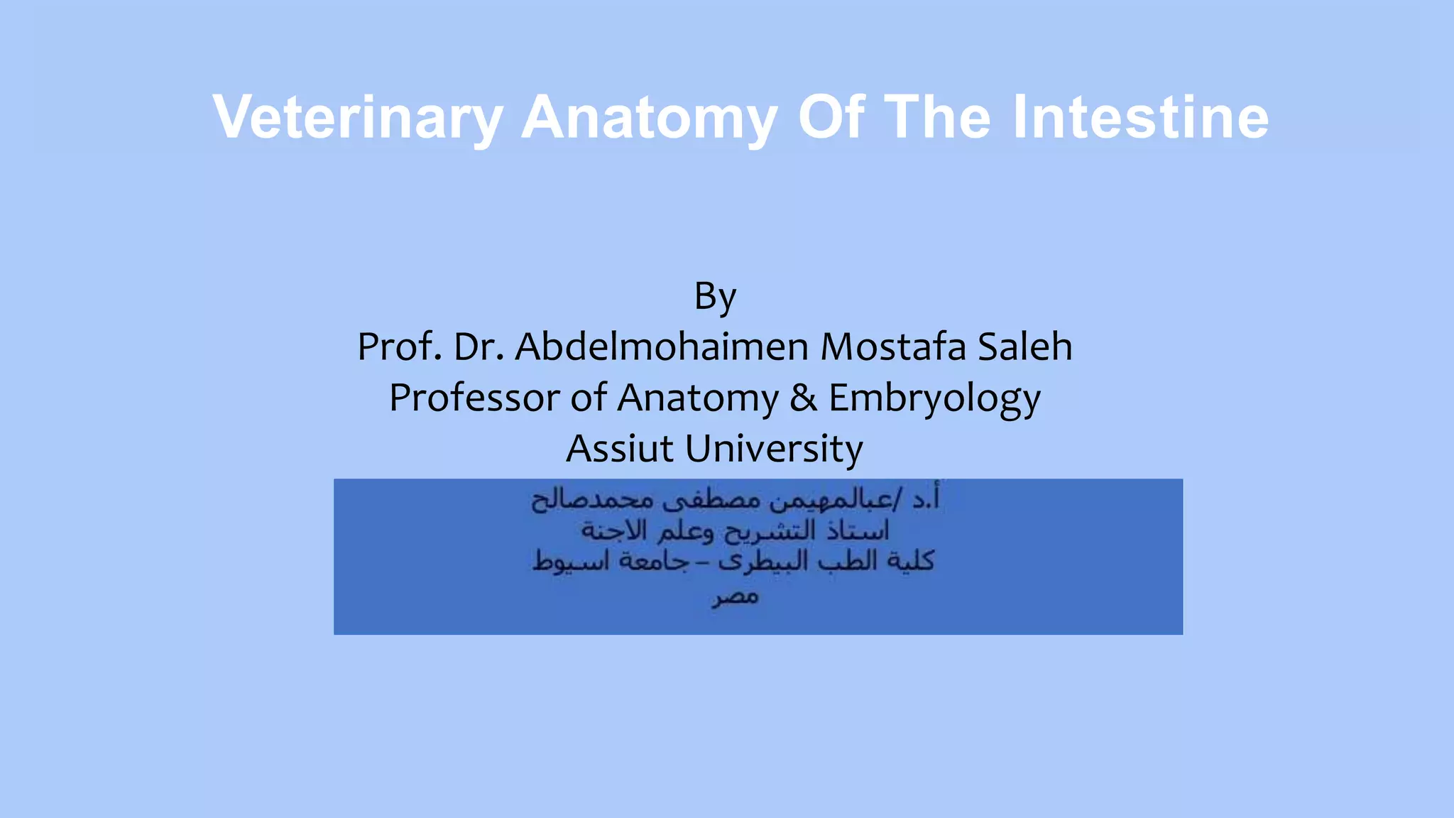 Veterinary anatomy of intestine | PPTX