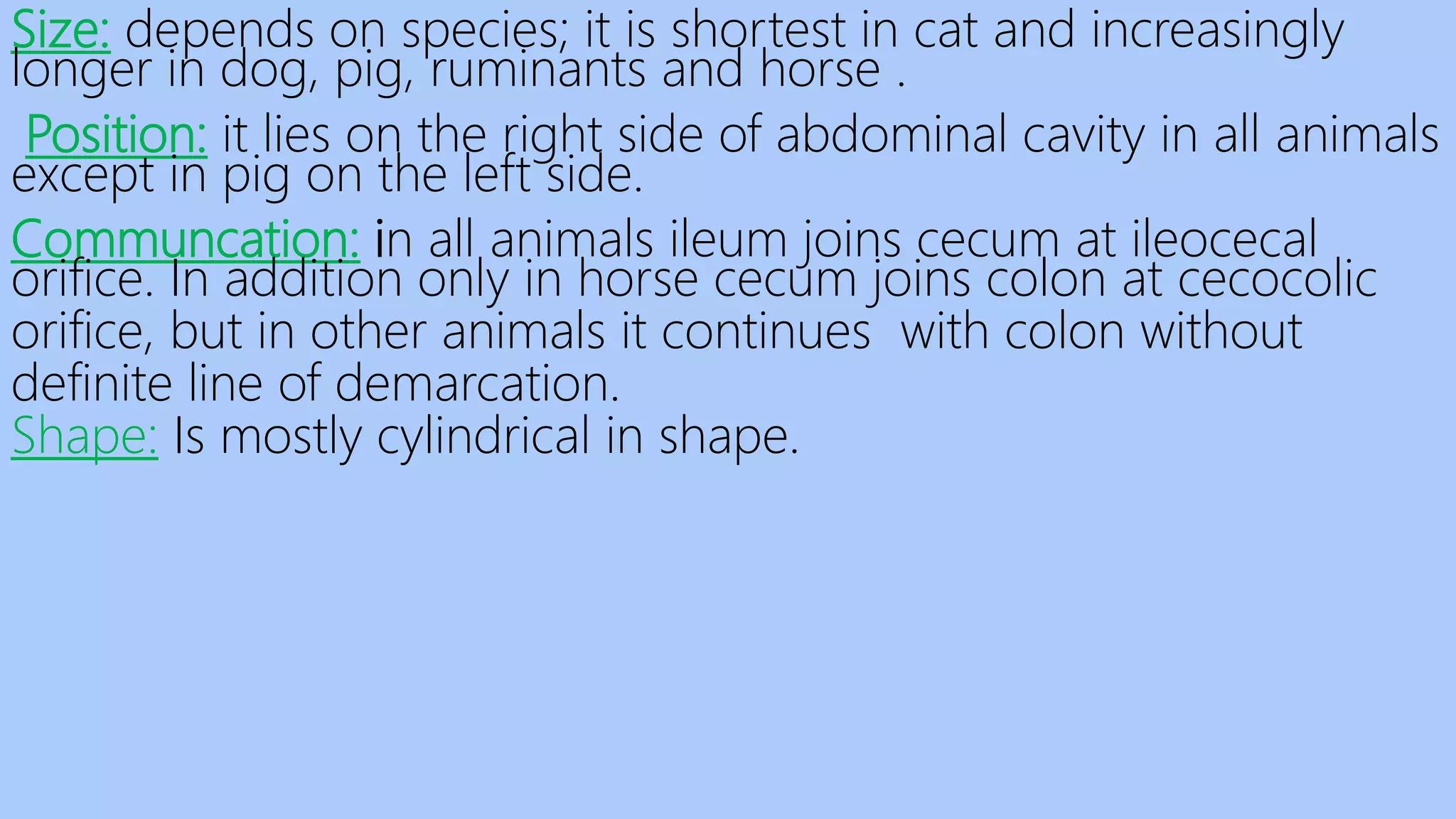 Veterinary anatomy of intestine | PPTX