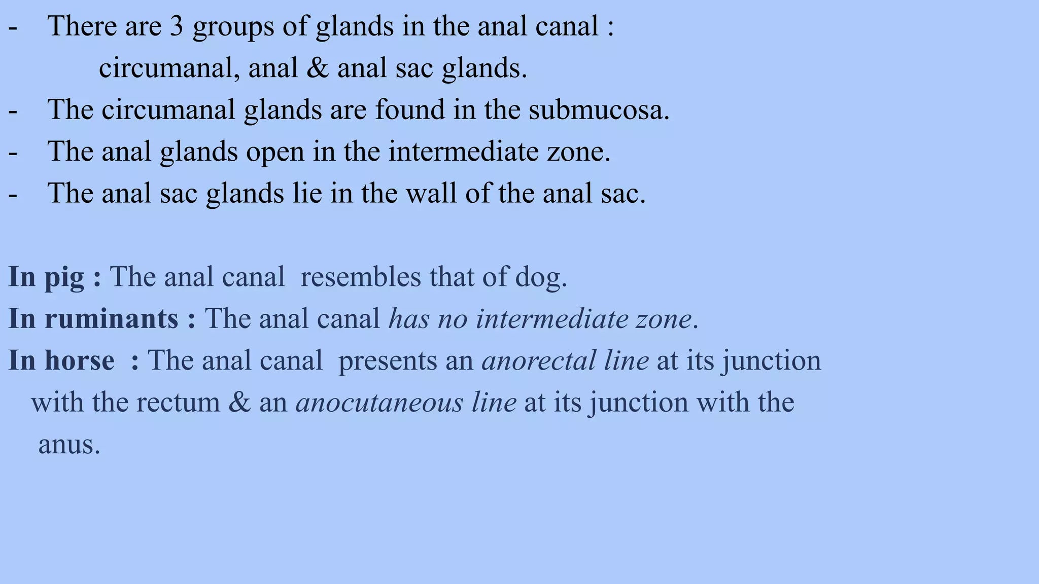 Veterinary anatomy of intestine | PPTX