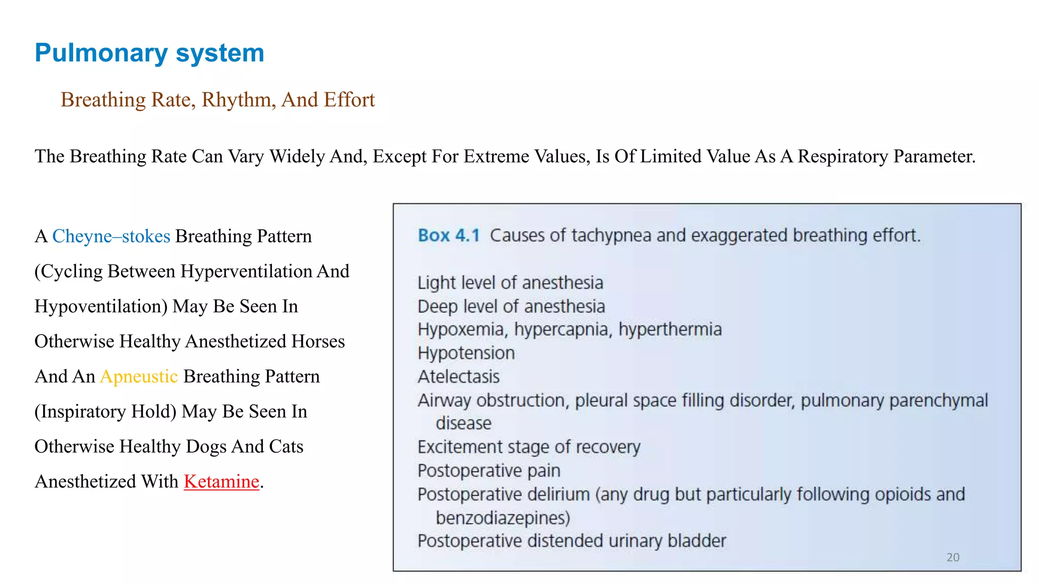 Veterinary anesthesia (Monitoring Anesthetized Patients) | PPTX