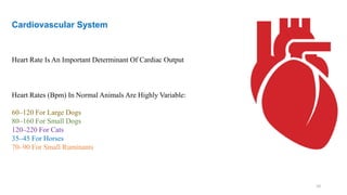 Veterinary anesthesia (Monitoring Anesthetized Patients) | PPTX