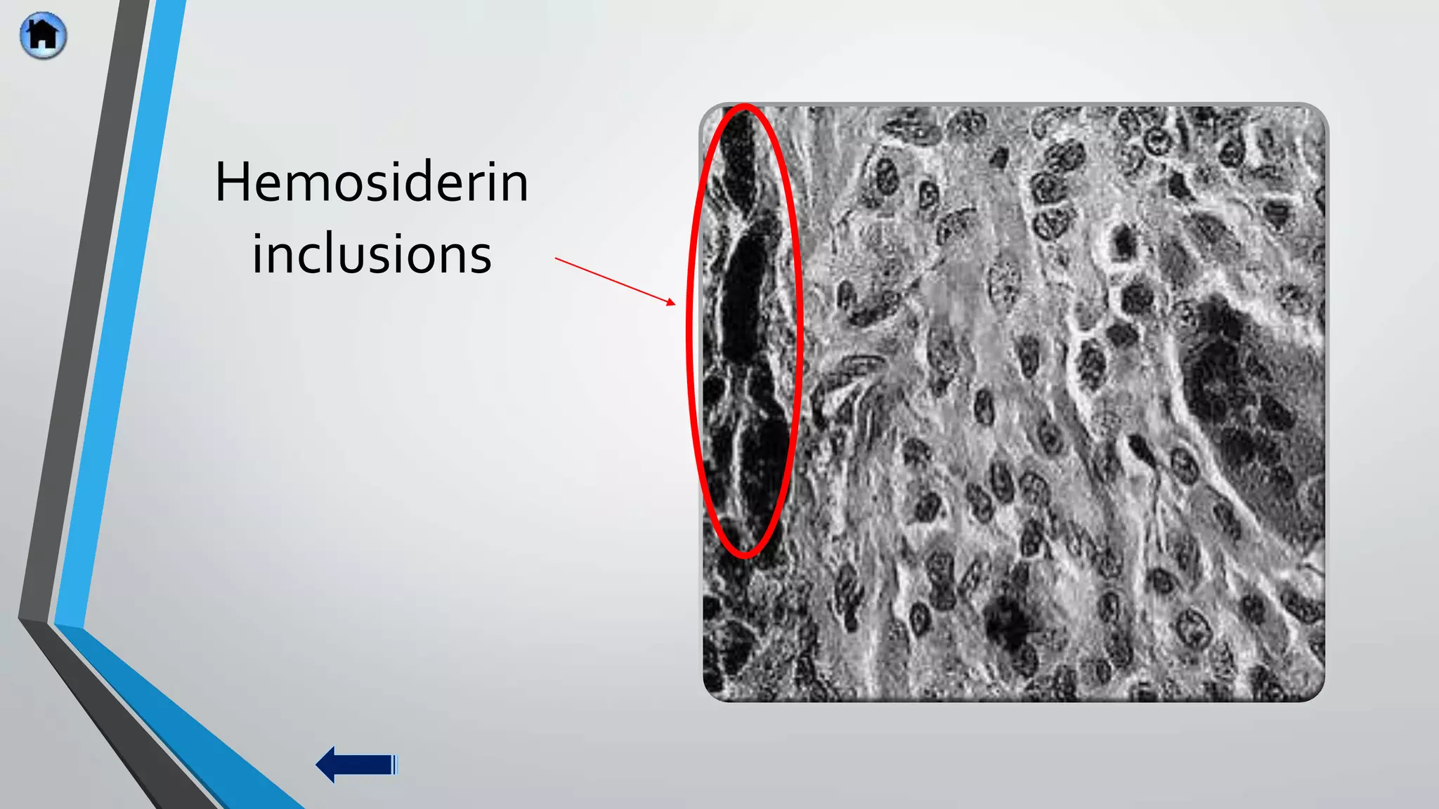 Cytology in electron microscopy | PPTX