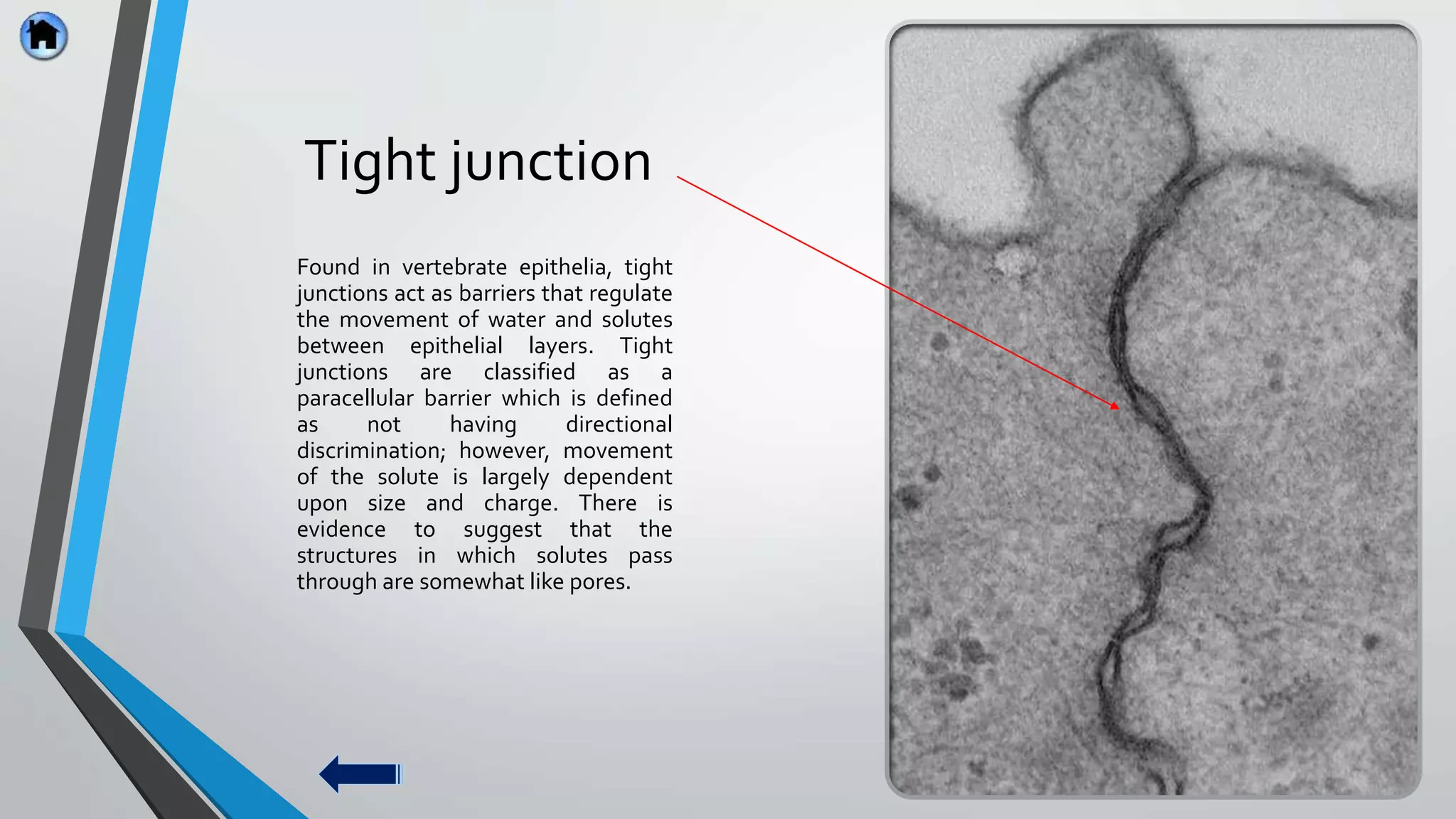 Cytology in electron microscopy | PPTX