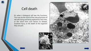 Cytology in electron microscopy | PPTX