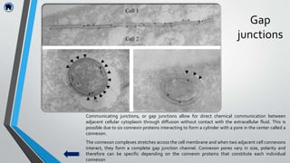 Cytology in electron microscopy | PPTX