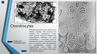 Cytology in electron microscopy | PPTX