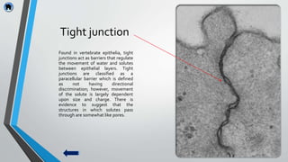 Cytology in electron microscopy | PPTX